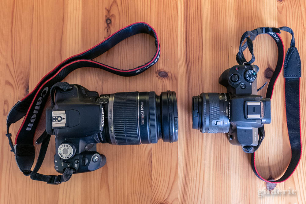 Reflex ou hybride : quel appareil photo choisir ? – Imagier